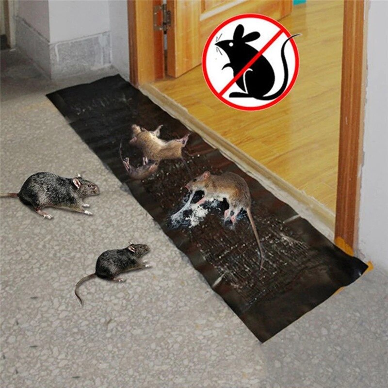 Rat killing magic carpet – hammadmart.pk